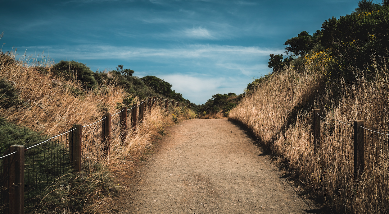 5 Nottingham Countryside Walks You Need To Go On - Birdholme Glamping