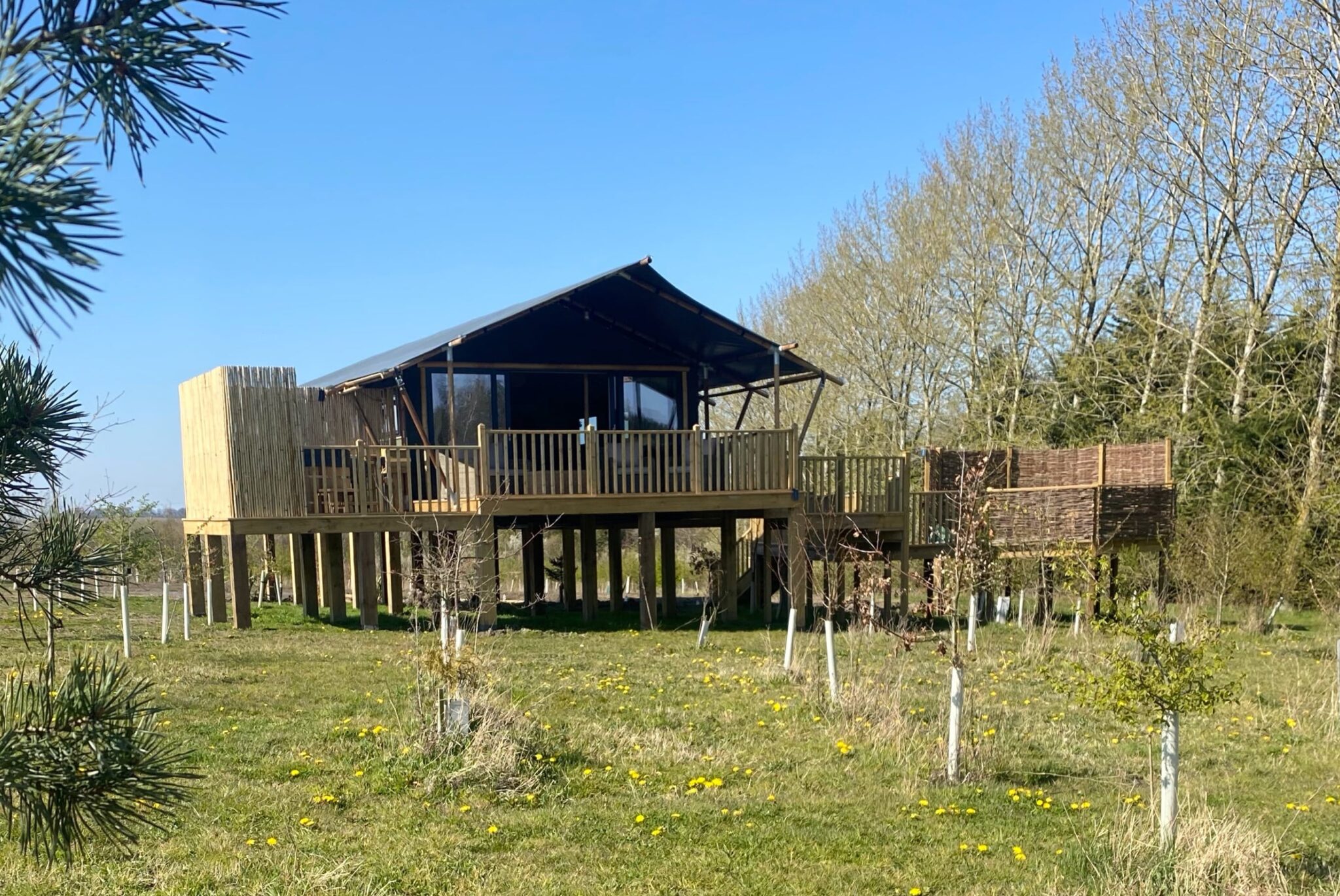 Luxury Glamping Lodges | Birdholme Glamping | Nottinghamshire